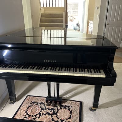 Yamaha C3 Conservatory Grand Piano | Reverb