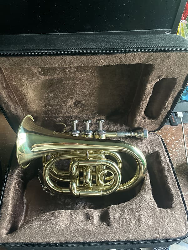 EastRock Gold Lacquer Pocket Trumpet with Case- | Reverb