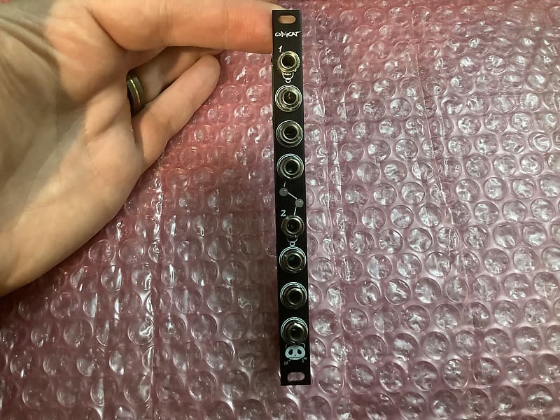 Patching Panda Copycat Eurorack Module | Reverb