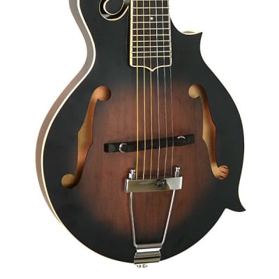 Framus Mandolin 6/3 Rosita 1964 Natural | Reverb