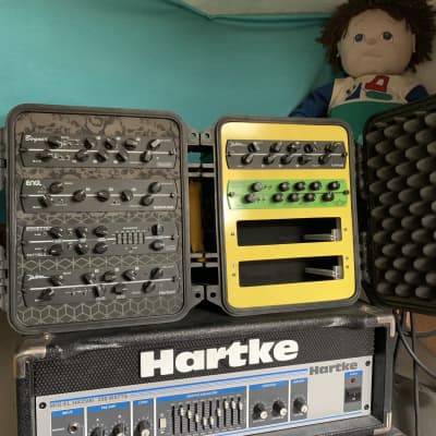 Burns Delta Model 4 Slot Case, Lasered Faceplate (CUSTOM), | Reverb