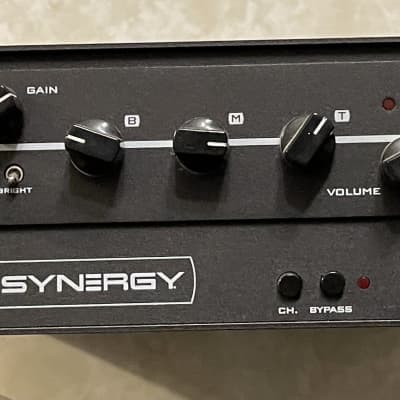 Synergy Syn1 and Friedman DS module | Reverb