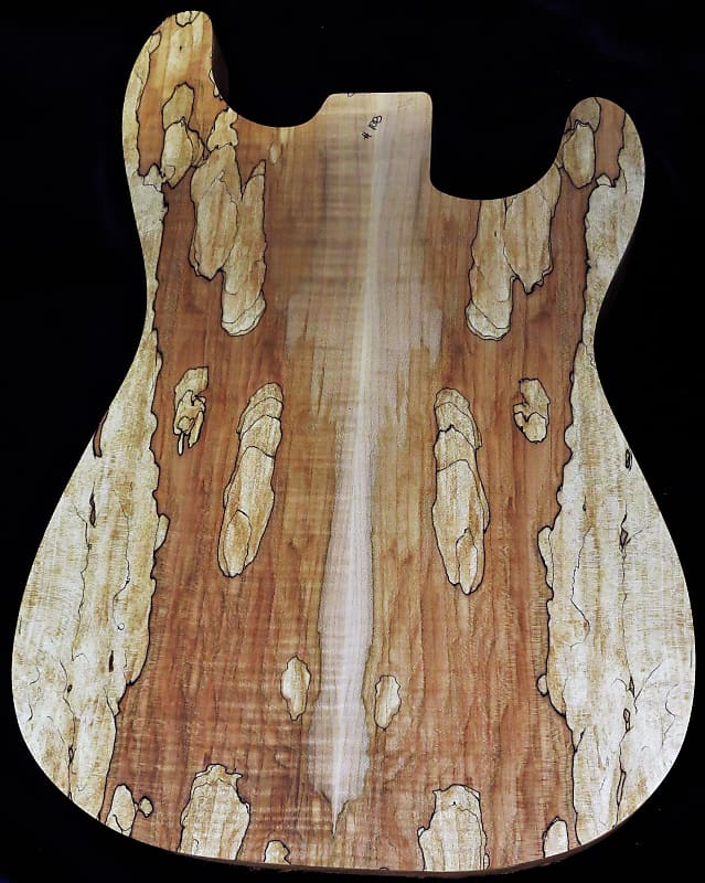 *BLANK* Mahogany / Flamed Spalted Maple Stratocaster Style | Reverb