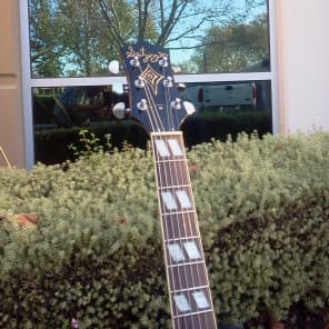 Beautiful Custom Abalone Shell Inlay LP Style Electric | Reverb