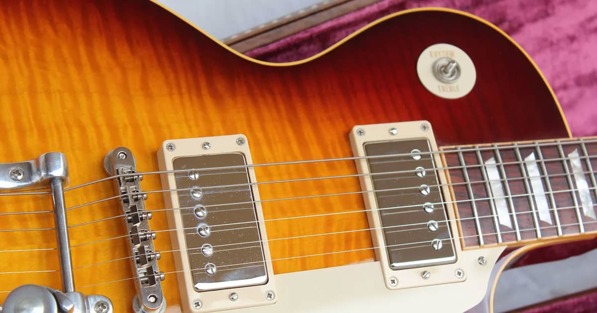 How to Apply for an Individual CITES Permit | Reverb News