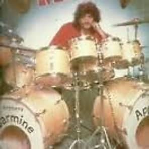 Carmine Appice's Rod Stewart, Realistic Rock, Ludwig 76 | Reverb