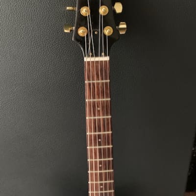 Ashland PRS style guitar | Reverb