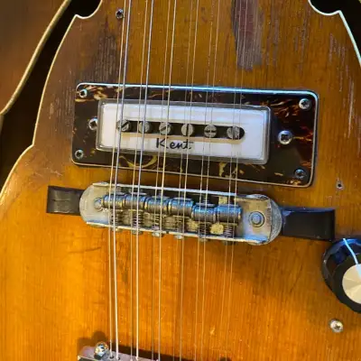 Gagliano Hofner 12-String President Thinline hollowbody | Reverb