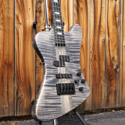 Stewart Spector RXT Prototype #1 Bass Owned by Rex Brown of | Reverb