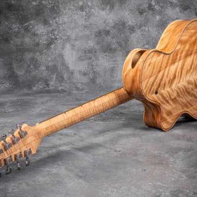 Lavoie Guitars Baryton Archtop (9 strings) | Reverb