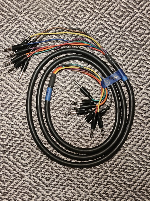 8 channel 1/4" to 1/4" TRS 10ft Cable Snake | Reverb