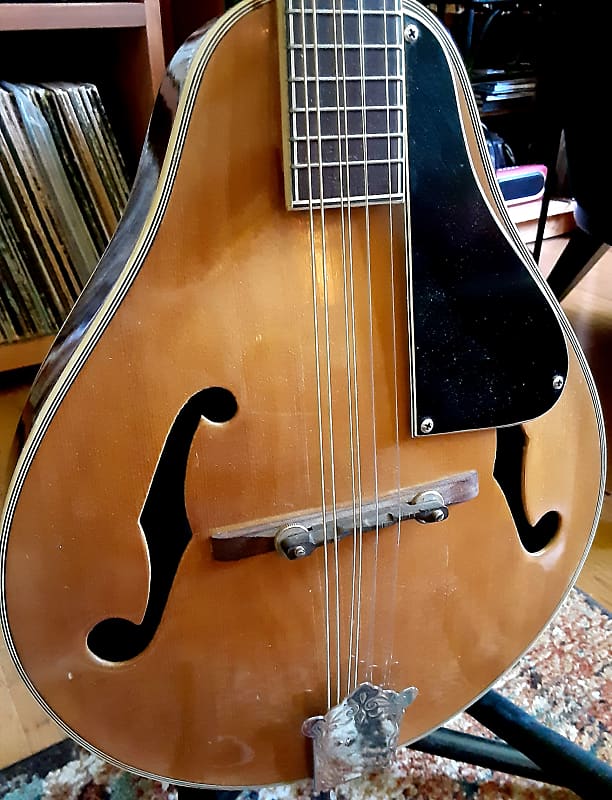 Epiphone Project EM-50 70's Mandolin | Reverb