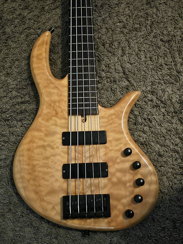CORT Elrick JP-5 Josh Paul Signature 5-String Bass w/Gig Bag | Reverb