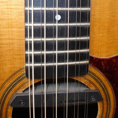 Vintage 1977 Charles Hoffman 12-String Acoustic Guitar w/ | Reverb