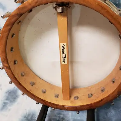 Vintage 1920's Wurlitzer Banjolin New Strings Pro Setup Banjo | Reverb