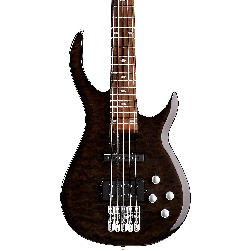 Rogue LX405TBK Series III Pro 5-String Bass | Reverb Canada