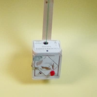 Electric Boxstring Bass | Reverb