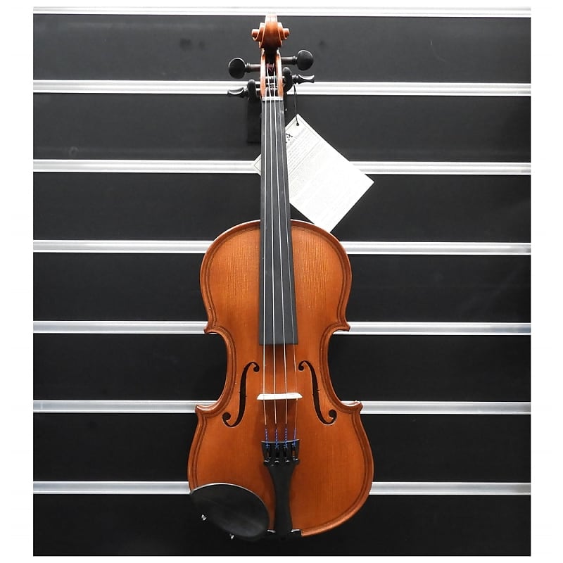 Gliga Violin 4/4 Gliga 1 Double Purfling Maggini Model Outfit | Reverb