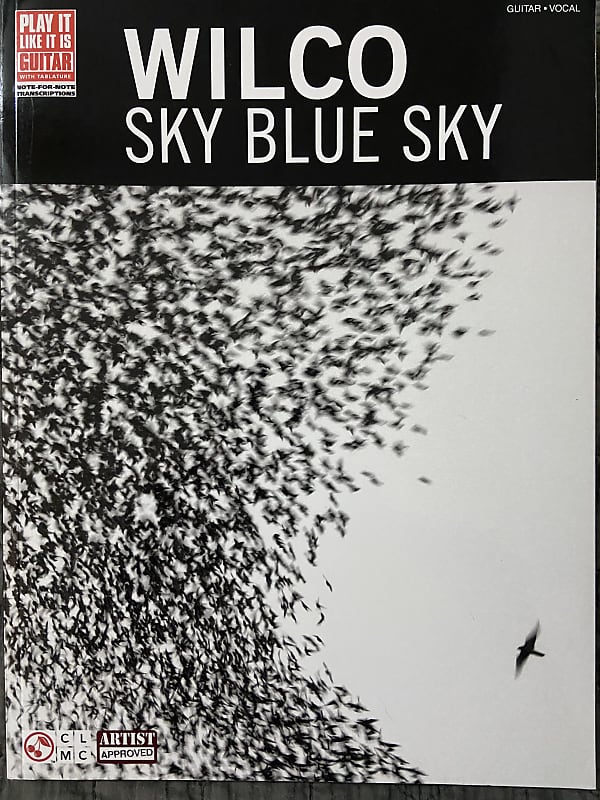 Wilco - Sky Blue Sky - Guitar Tab / Tablature Book | Reverb