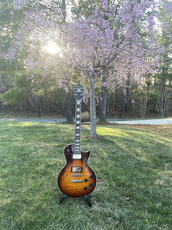 Prestige LP Style Guitar with case | Reverb