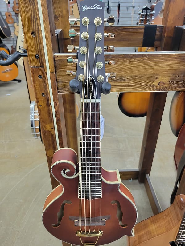 Gold Tone F-10 10 String Mandolin w/Case (FREE Shipping!) | Reverb