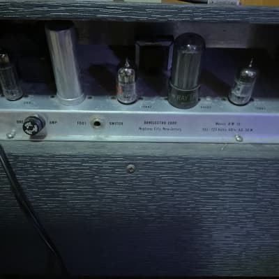 Vintage 1960’s Danelectro DM10 Tube Amp | Reverb