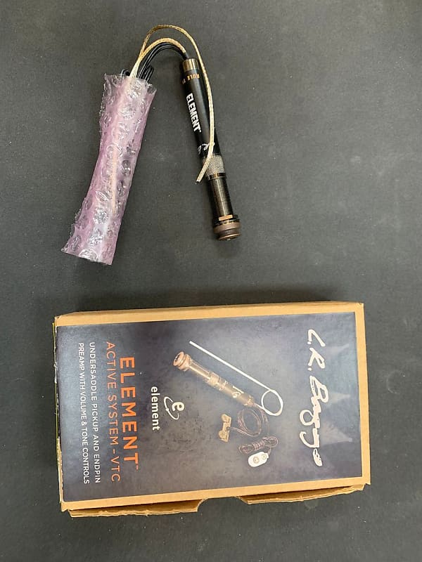 LR BAGGS ELEMENT PICKUP (Tampa, FL) | Reverb