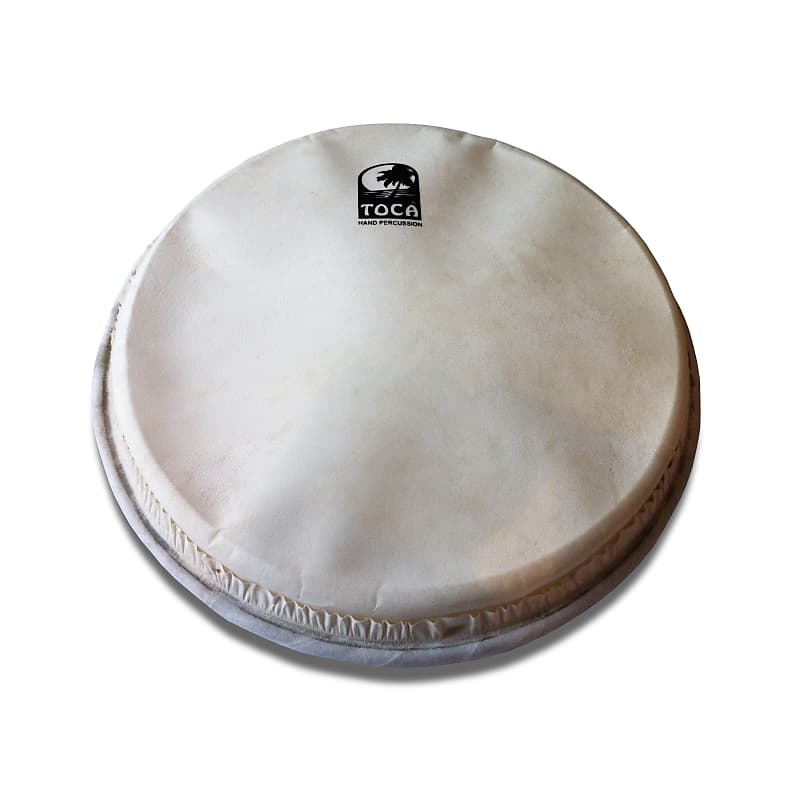 Toca Percussion Djembe Head for SFDJM-12RP, 12" - Drum Head | Reverb