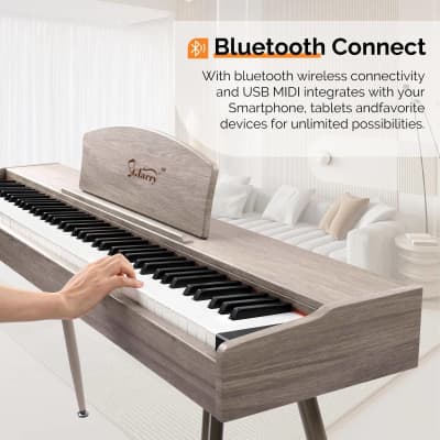 Glarry GDP-203 88 Key Full Size Weighted Hammer-action Keybed | Reverb