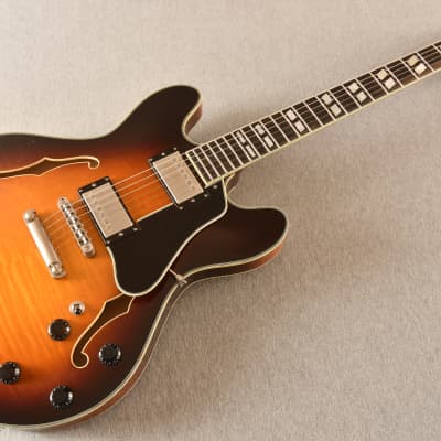 Eastman T59/V-SB Thinline Archtop Electric Guitar Sunburst | Reverb