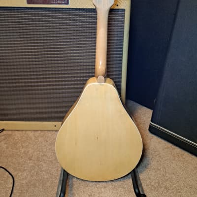 Santa Rosa Mandolin 2000 - Clear Maple | Reverb