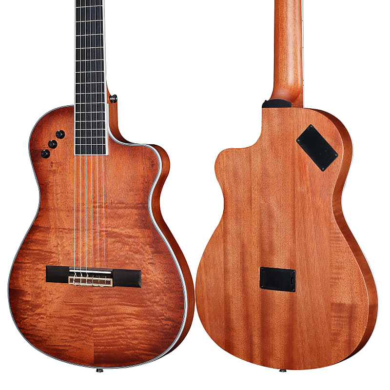 WINZZ WCG170CE 39-inch Thin body Nylon Strings Electric | Reverb