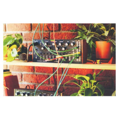 Moog Spectravox Semi-Modular Analog Spectral Processor | Reverb