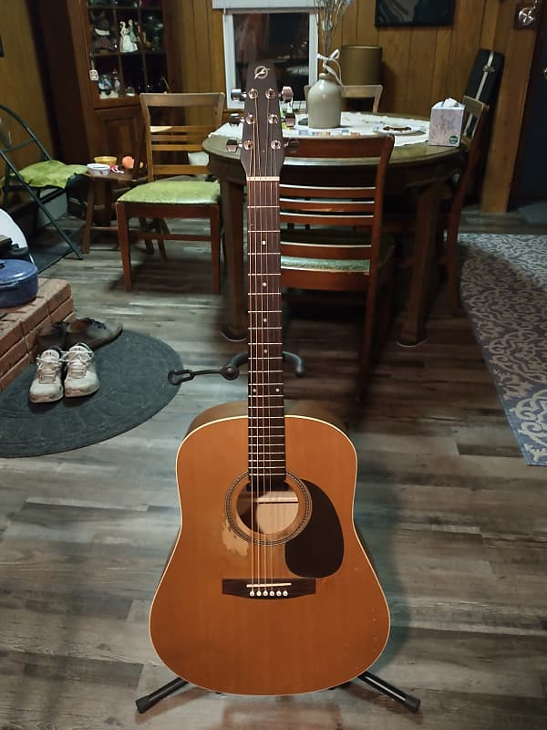 Seagull Plus Cedar Acoustic Guitar | Reverb