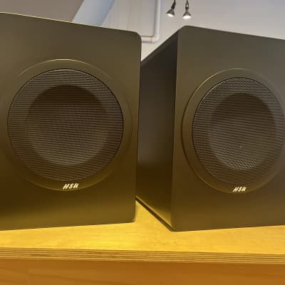 Christie Vive LS2S theatrical speaker monitor 8" planar | Reverb