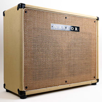 Naylor Electra-Verb 38 *Rare 2x12 Model* Dallas, Texas Era | Reverb