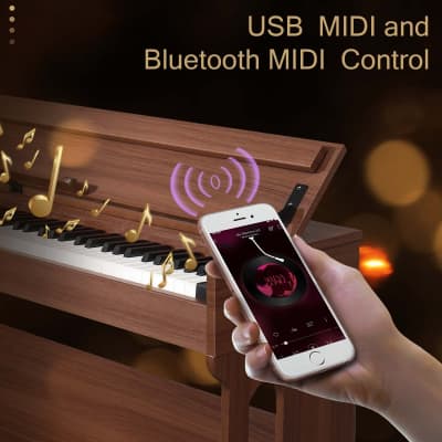 Glarry 88-Key Home Fully Weighted Hammer-action Keybed | Reverb