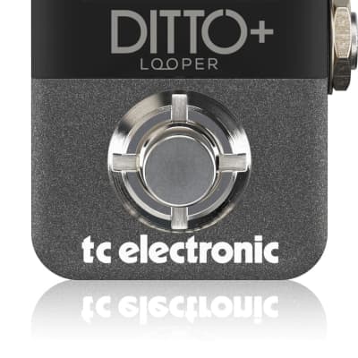 TC ELECTRONICS DITTO+ LOOPER PEDAL : BRAND NEW : [DETROIT | Reverb