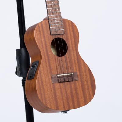 Luna Ukulele Suitcase Amp with 9V Battery and AC | Reverb Canada