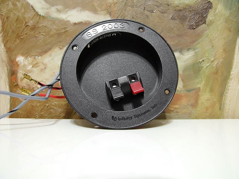 single Infinity SS 2003 crossover+terminal part | Reverb Australia