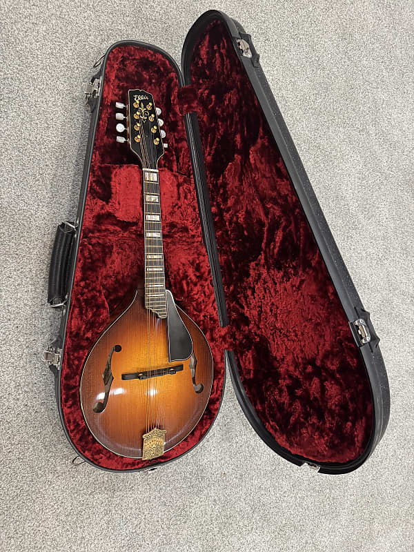 Ellis A-5 Special Mandolin Sunburst w/ upgrades | Reverb