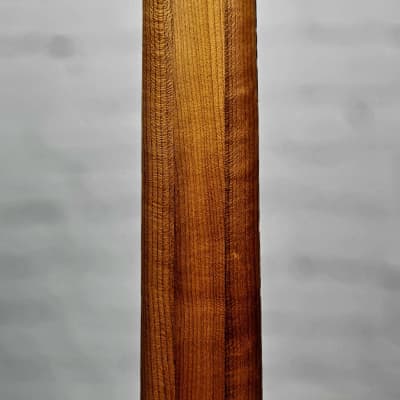 Spector NS Pulse 5 String Bass Cinder Red | Reverb Canada