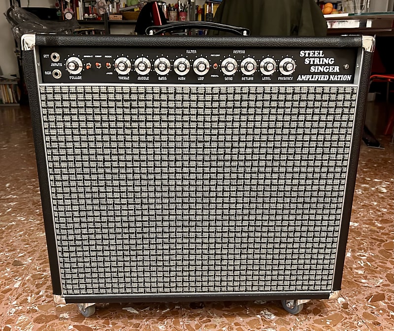 Amplified Nation Steel String Singer 50-Watt Guitar Amp Combo | Reverb