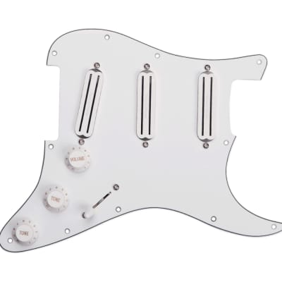 Eric Johnson Stratocaster loaded pickguard 2021 - | Reverb