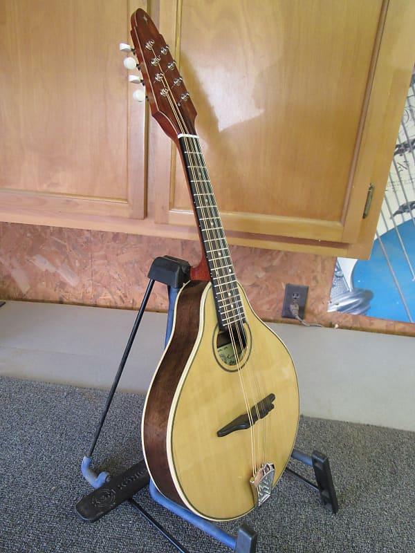 Beard Celtic Mandolin | Reverb