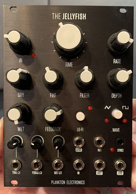 Plankton Electronics The Jellyfish Eurorack Delay module | Reverb