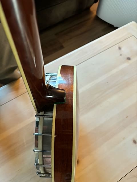 Lida 5 string banjo | Reverb