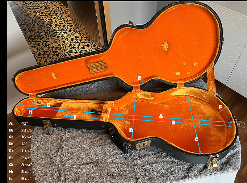 Ess & Ess guitar case | Reverb