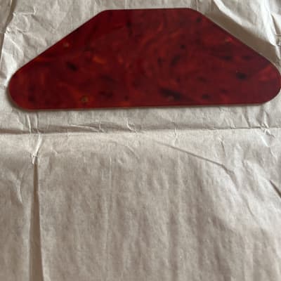 CreamTone Celluloid SG Control Plate 2023 - Tortoise | Reverb