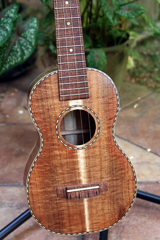 David Aumann Concert Ukulele | Reverb